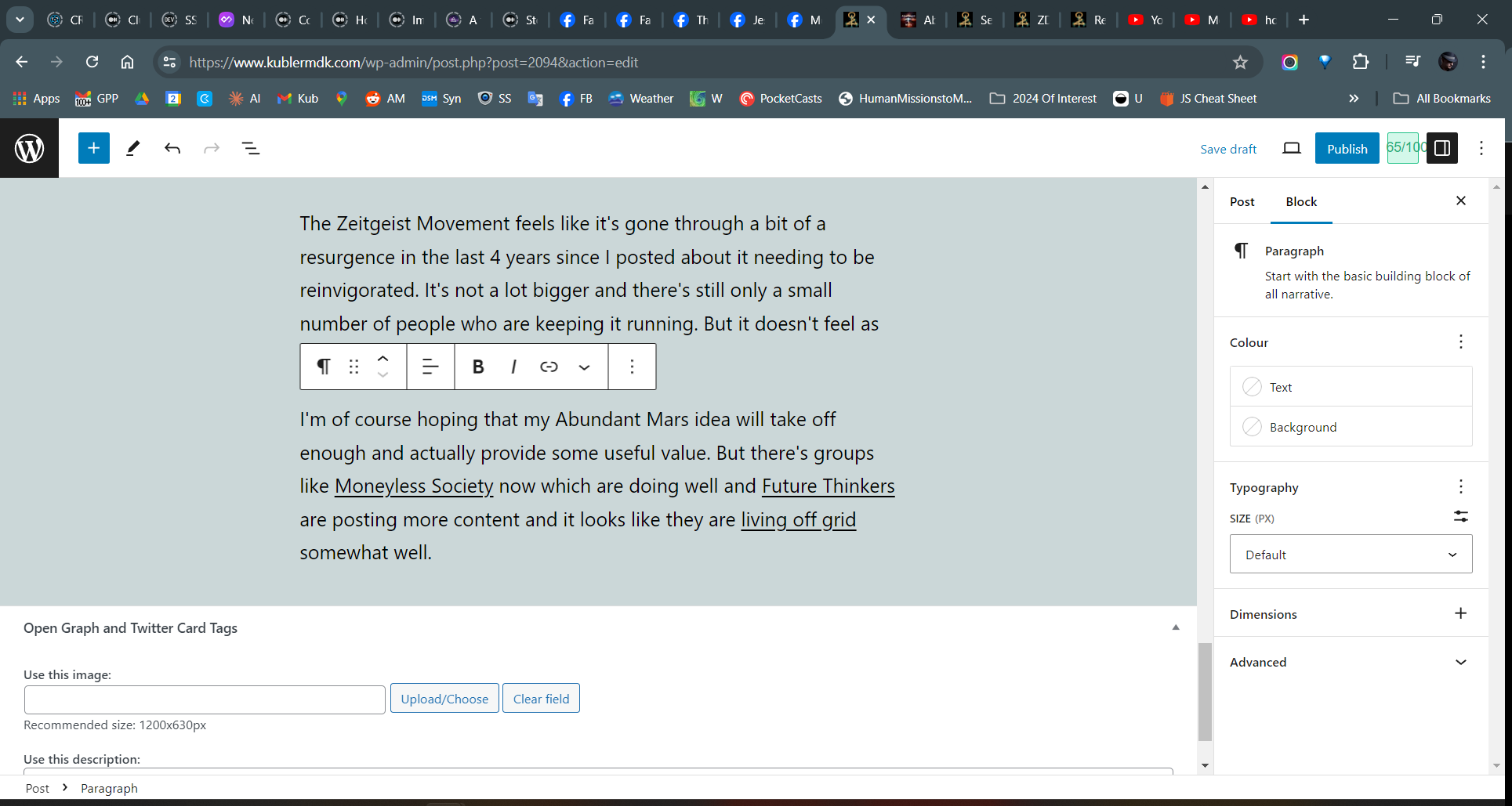 What is The Zeitgeist Movement in 2024? – Michael Kubler